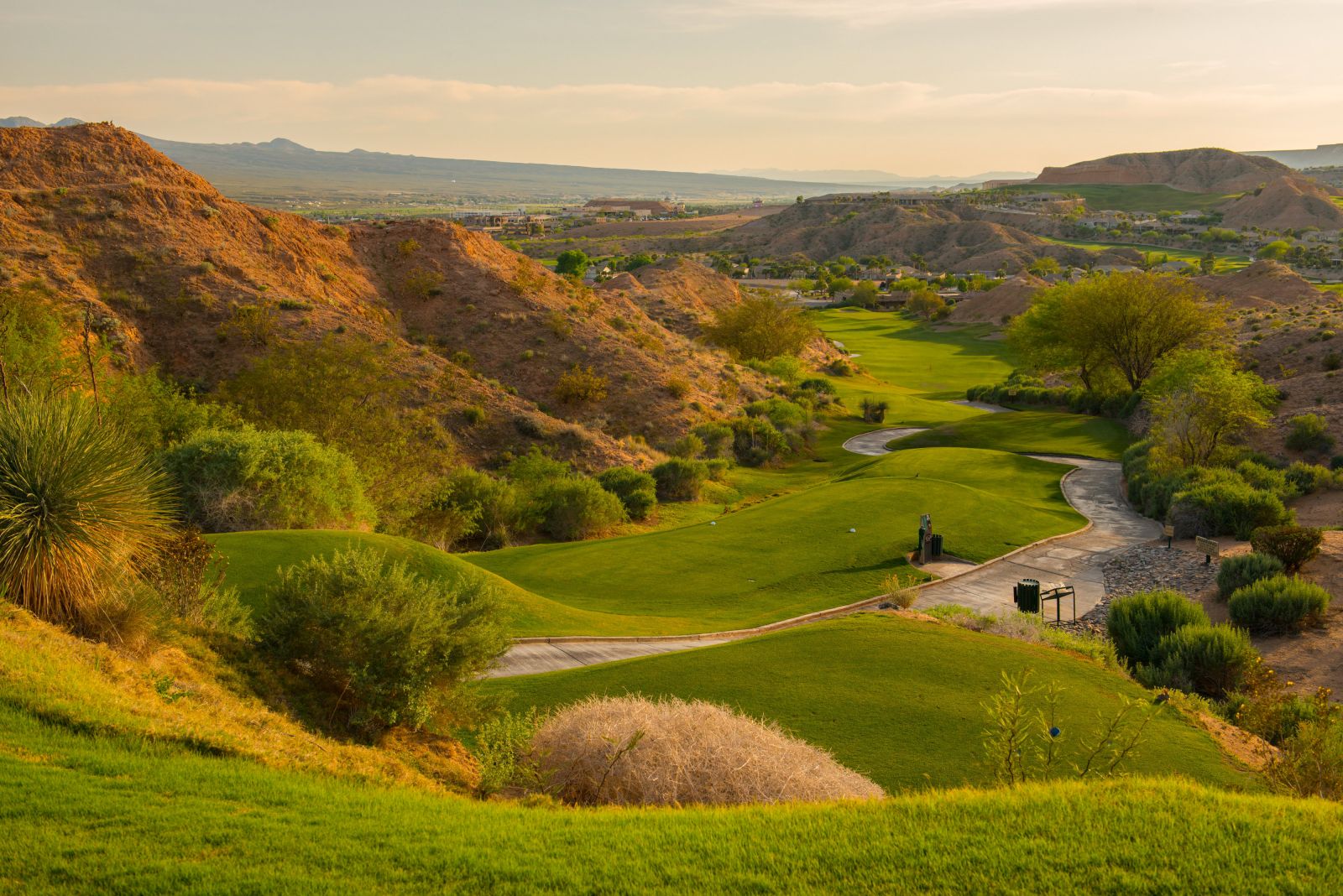 The Palmer Course - Oasis Golf Club - Palmer